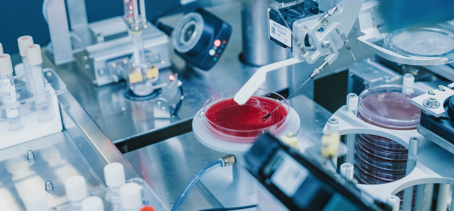 Sener in Canada: contact us