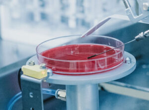 Streaking Automation | AUTOPLAK - Sener Diagnostics